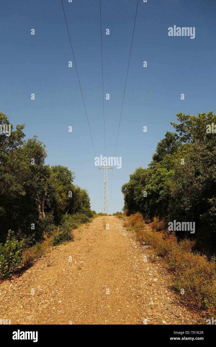 power lines cutting through the trees Stock Photo - Alamy