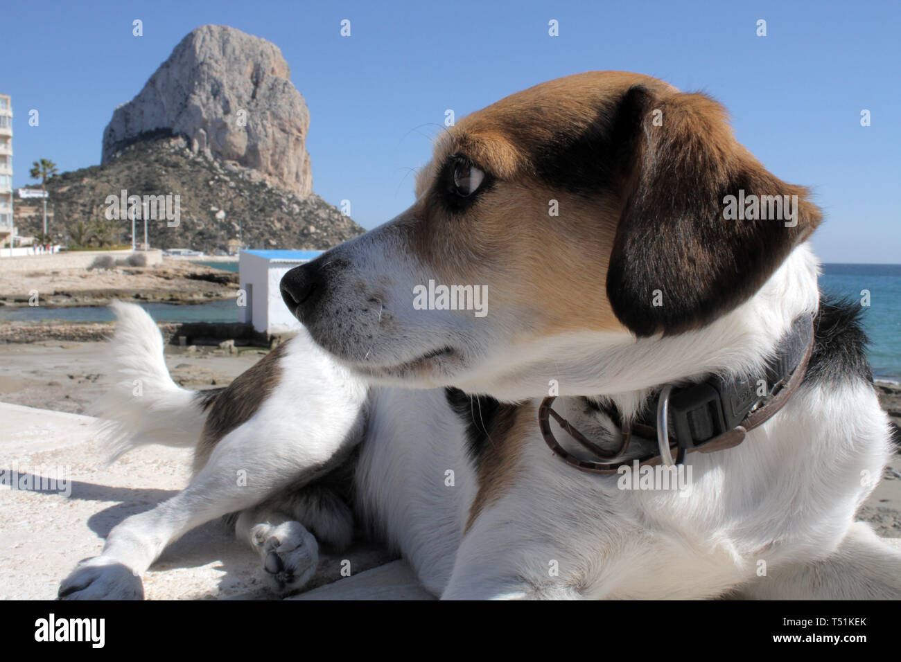 Calpe rock hi-res stock photography and images - Alamy