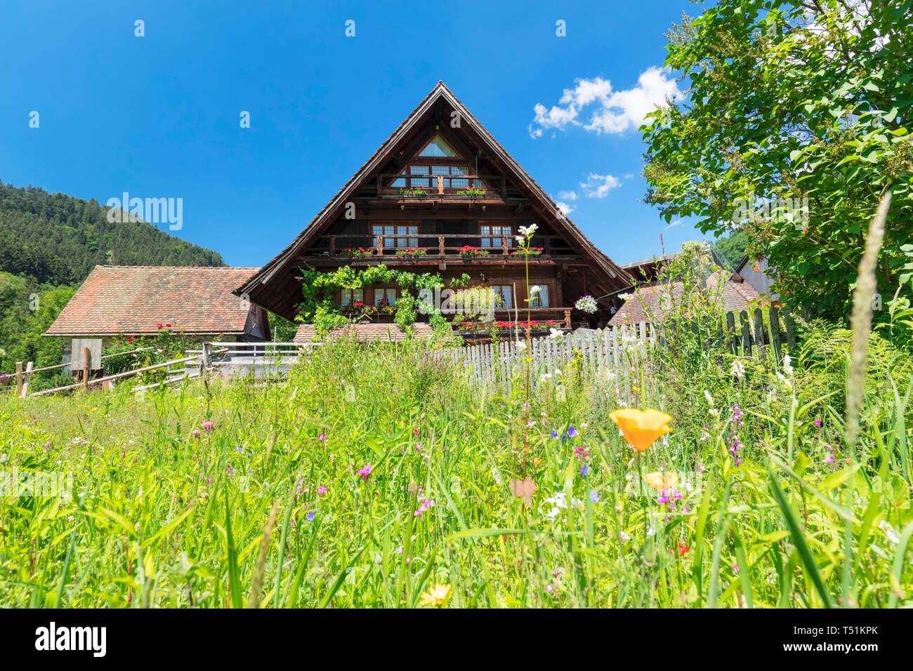 Simonswald germany hi-res stock photography and images - Alamy