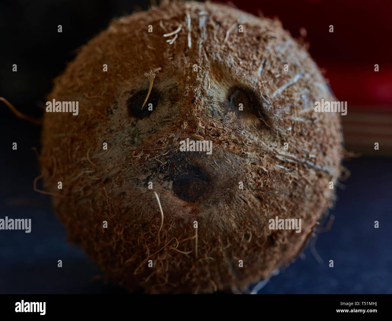 Coconut with "face" looking to have two eyes and a mouth against dark ...