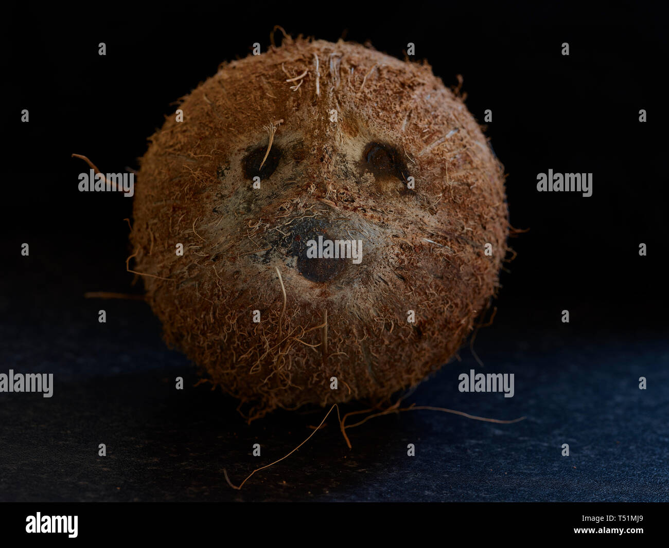 Coconut with "face" looking to have two eyes and a mouth against dark ...