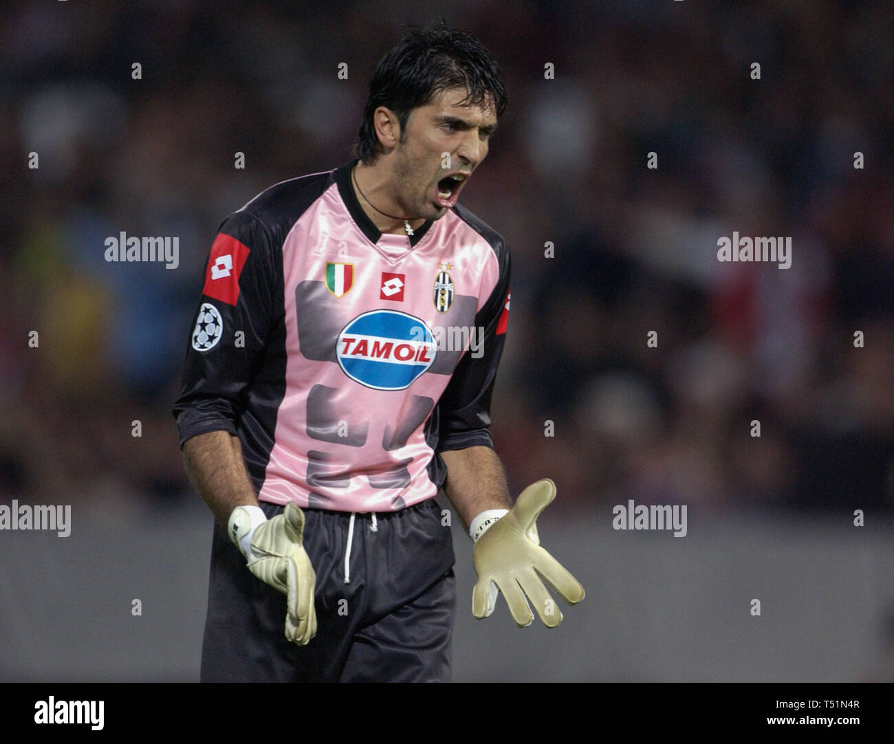 Buffon 2002 hi-res stock photography and images - Alamy