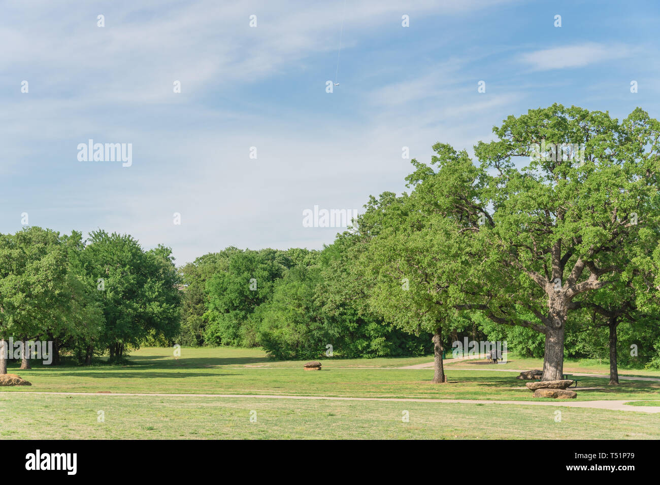 Beautiful park with grassy lawn, trees, decorative landscape rock ...