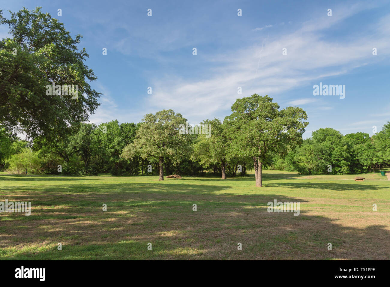 Beautiful park with grassy lawn, trees, decorative landscape rock ...