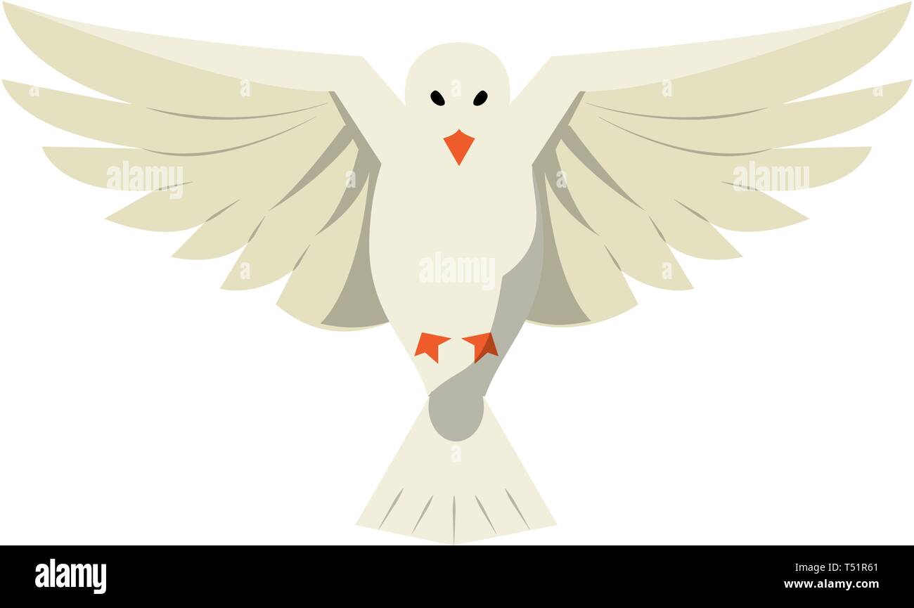 White Dove Flying Animation