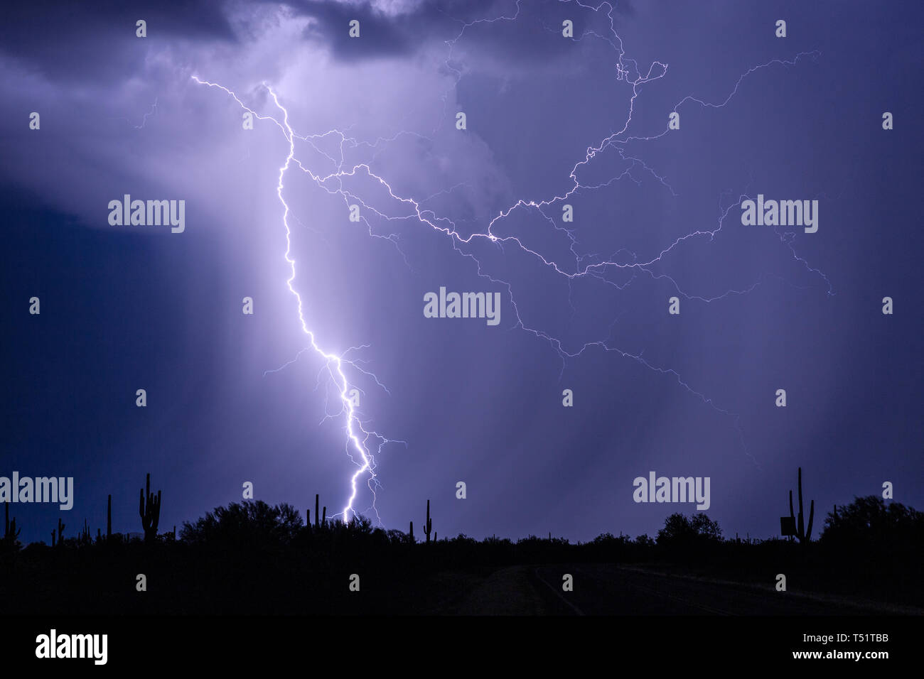 Lightning storm in desert hi-res stock photography and images - Alamy