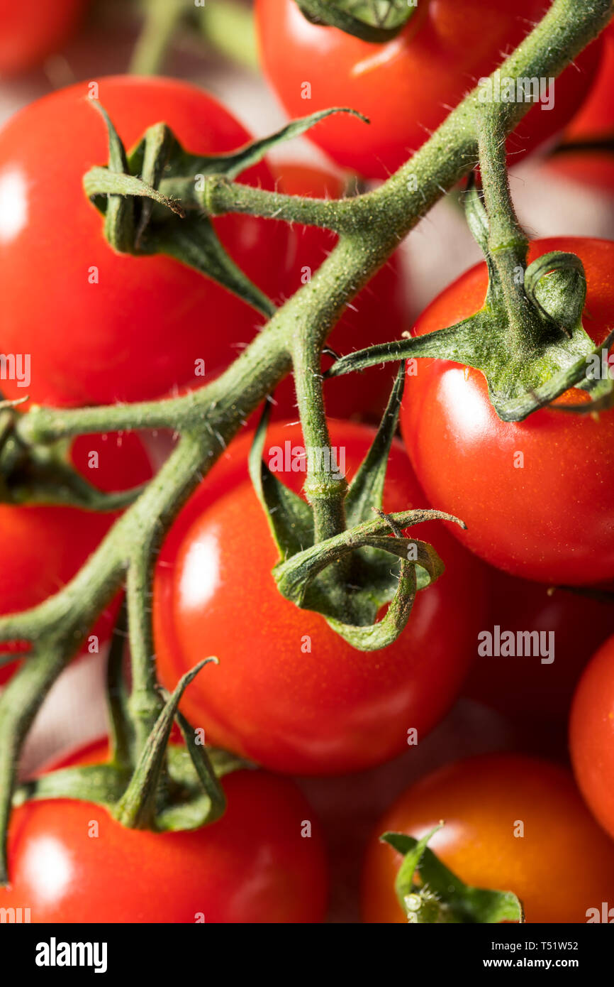 Raw Red Organic Cherry Tomatoes Ready to Eat Stock Photo - Alamy