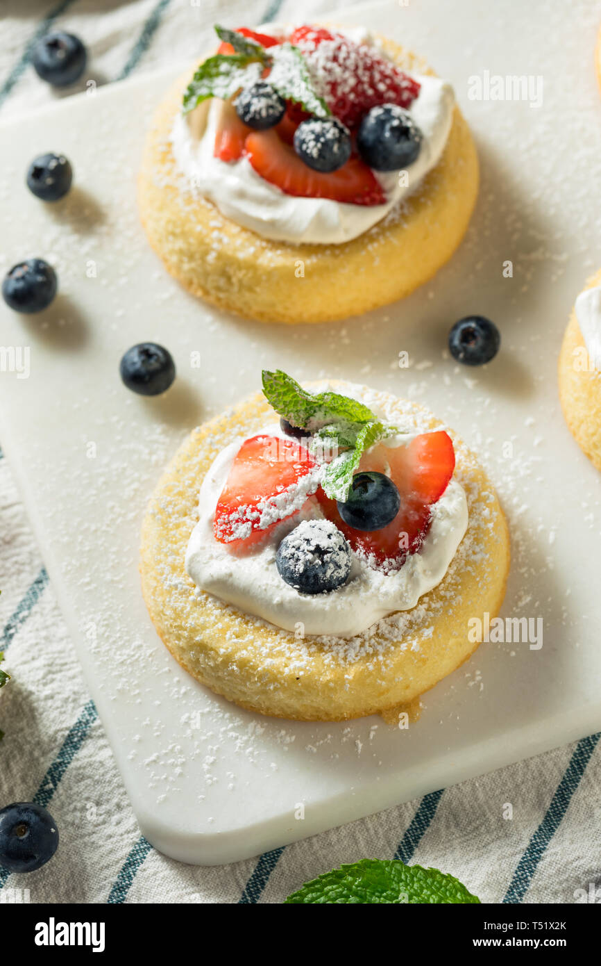 Homemade Mini Sponge Cake Cups with Fruit and Whipped Cream Stock Photo ...