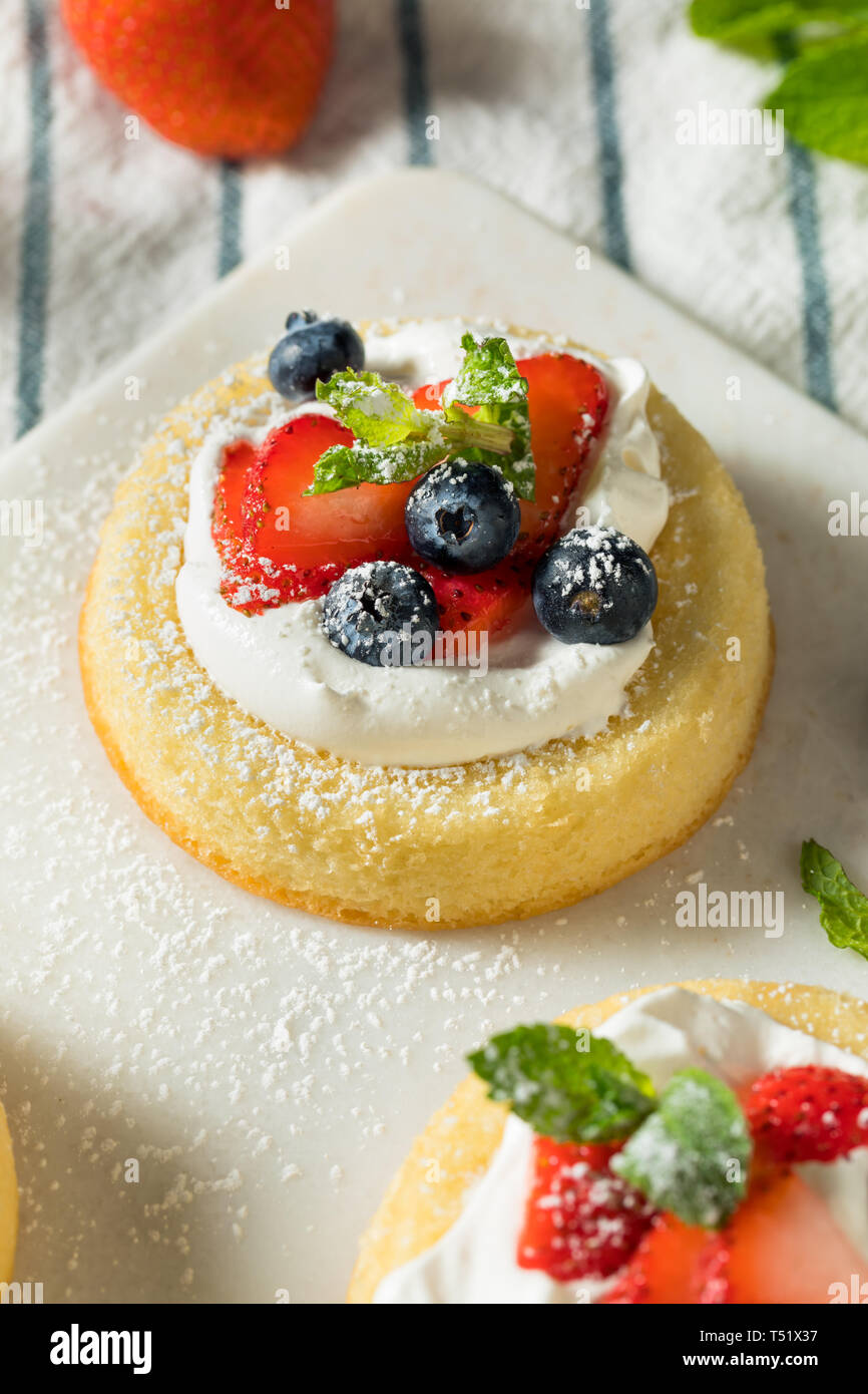 Homemade Mini Sponge Cake Cups with Fruit and Whipped Cream Stock Photo ...