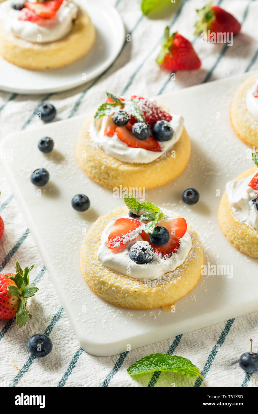 Homemade Mini Sponge Cake Cups with Fruit and Whipped Cream Stock Photo ...
