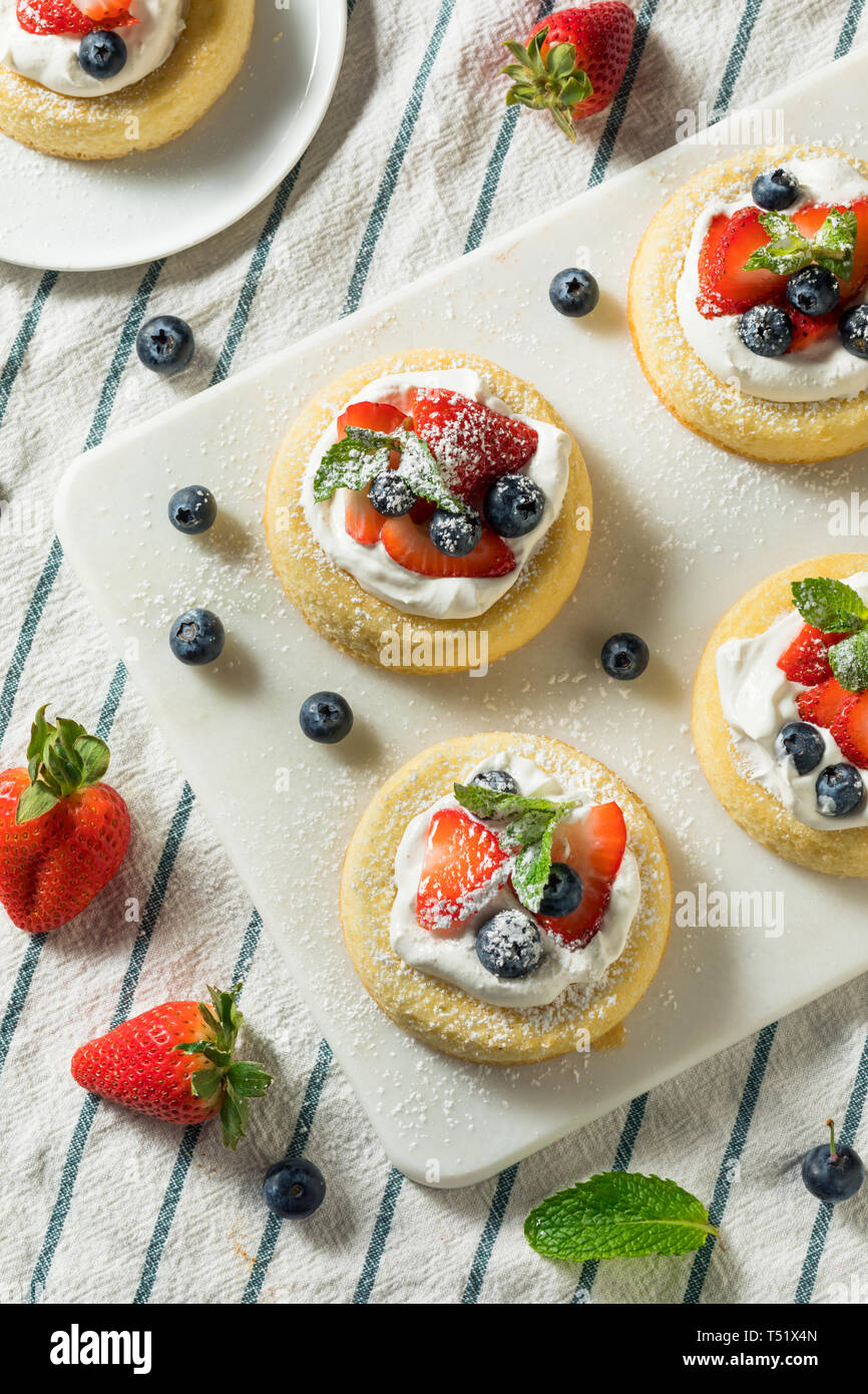 Homemade Mini Sponge Cake Cups with Fruit and Whipped Cream Stock Photo ...