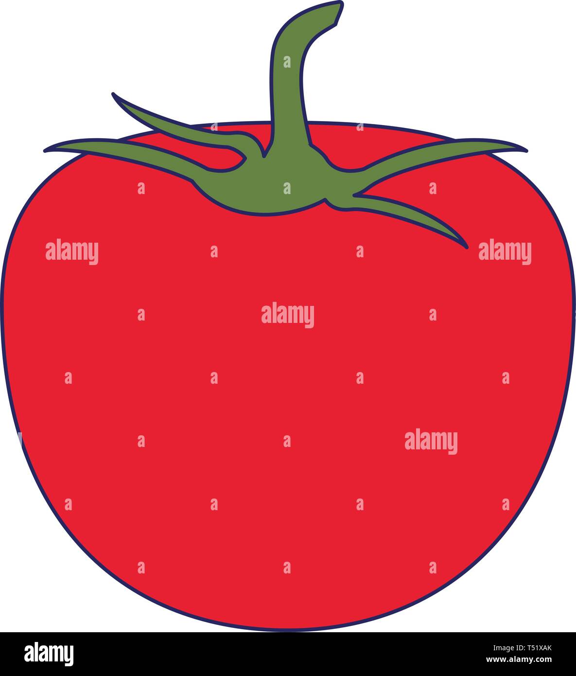 Tomato fresh vegetable food Stock Vector Image & Art - Alamy