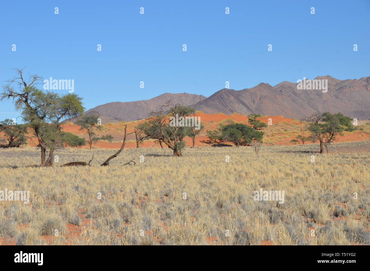 Beautiful landscape view in Namibia, Africa Stock Photo - Alamy