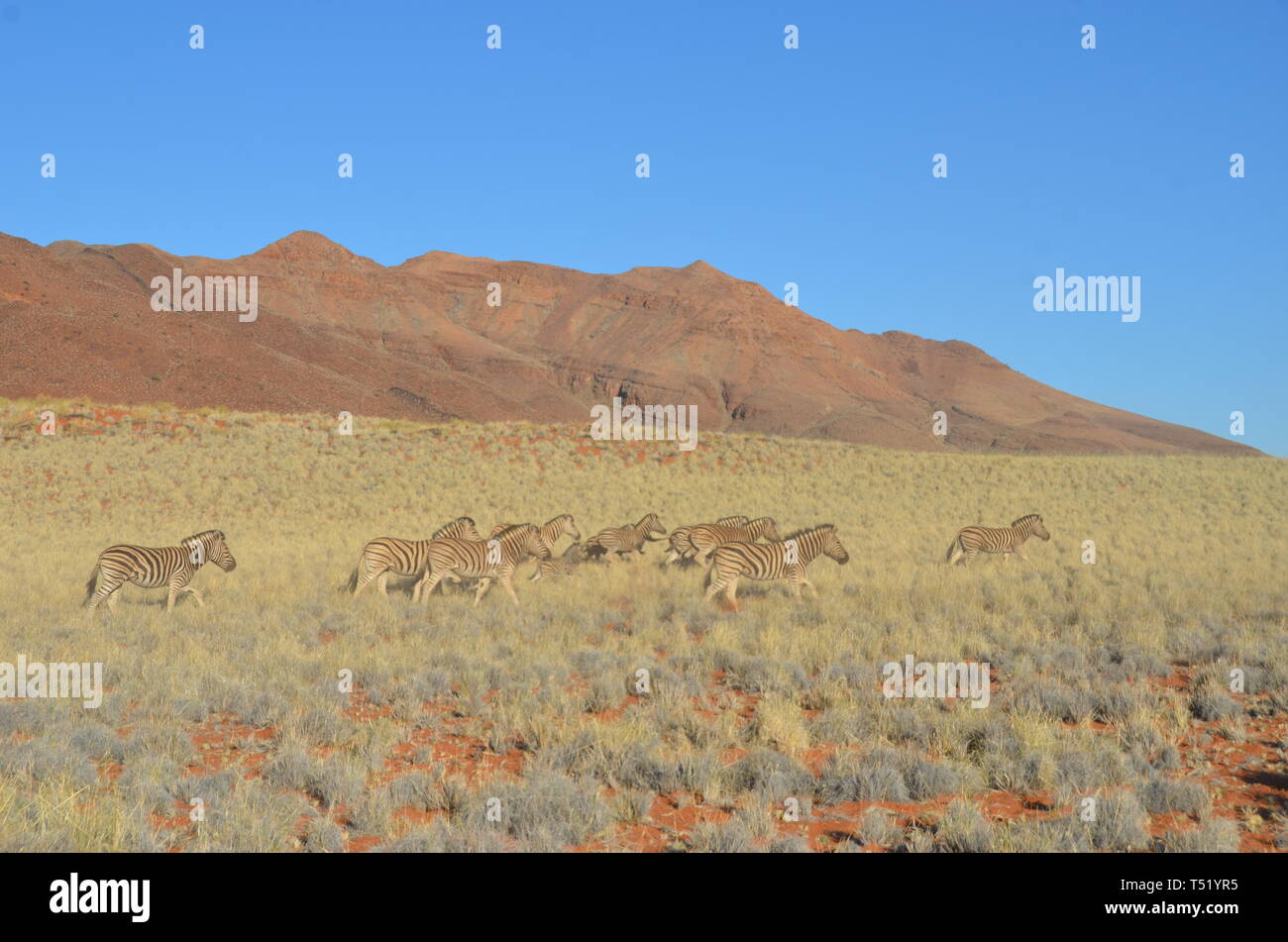 Beautiful landscape view in Namibia, Africa Stock Photo - Alamy