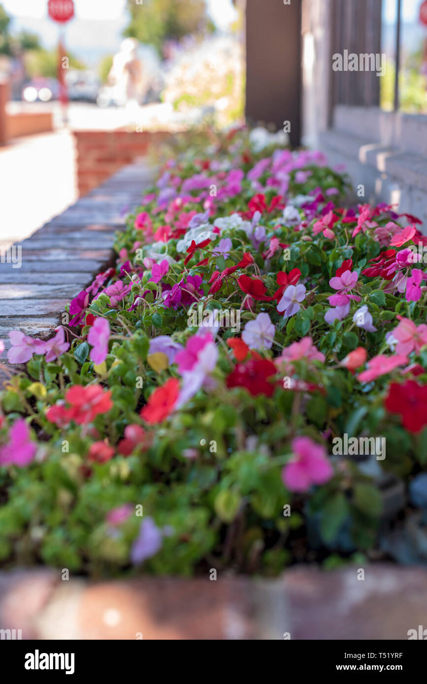 Sidewalk Flower Bed Box