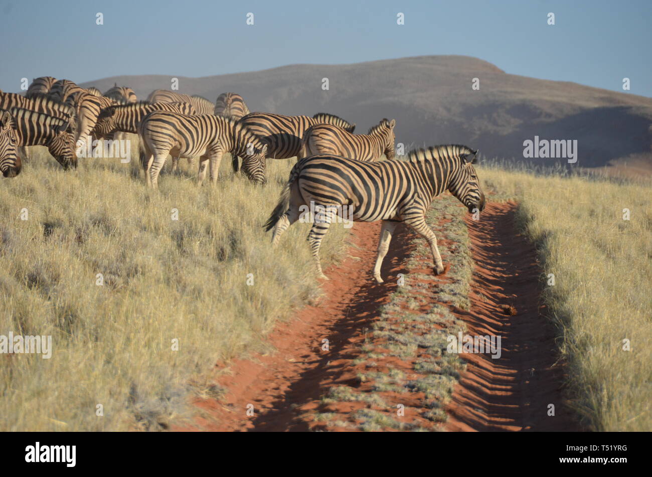 Beautiful landscape view in Namibia, Africa Stock Photo - Alamy