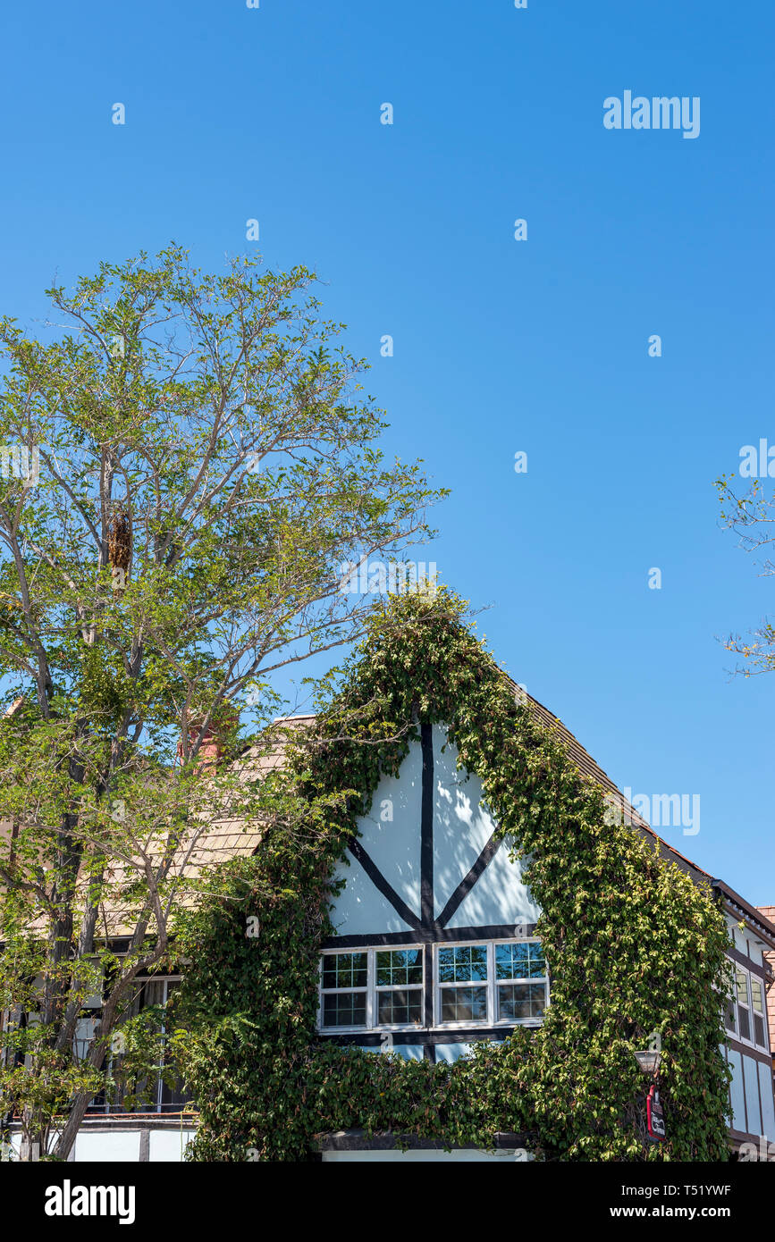 Vines growing around windows hi-res stock photography and images - Alamy