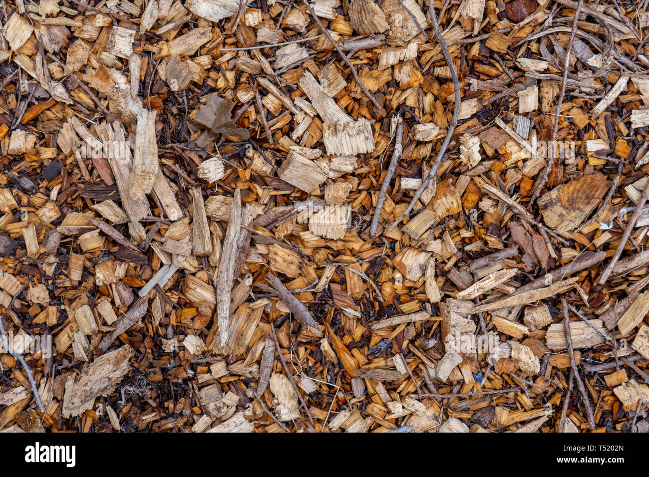 Background texture of tree wood chip mulch ground cover looking head ...