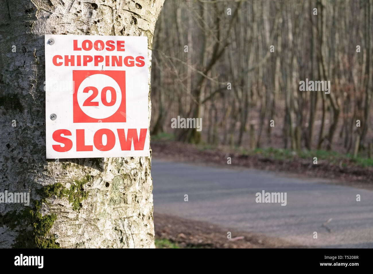 Loose chips 20 mph slow road sign on tree in woodland forest Stock ...