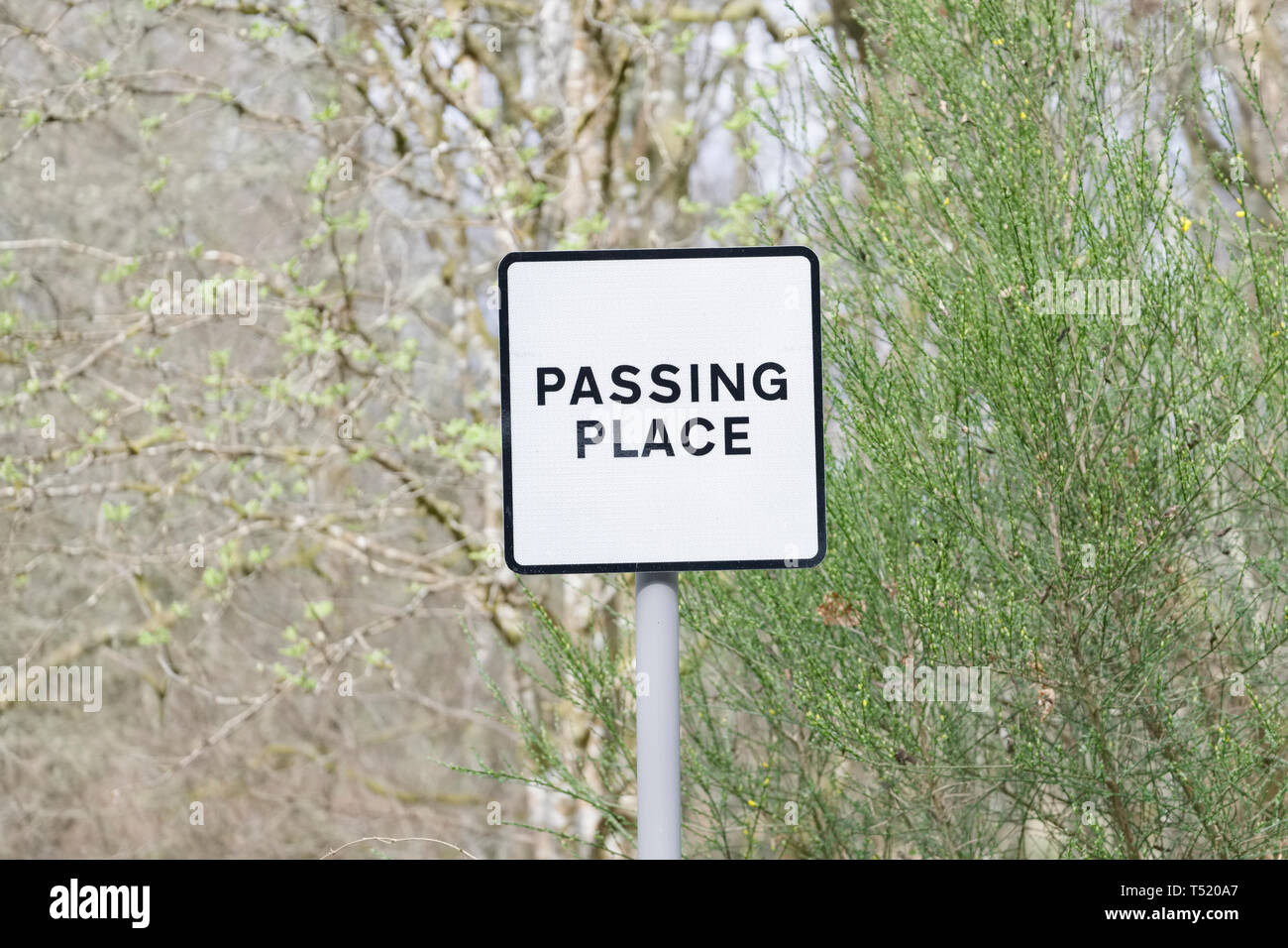 Passing place road sign Stock Photo - Alamy
