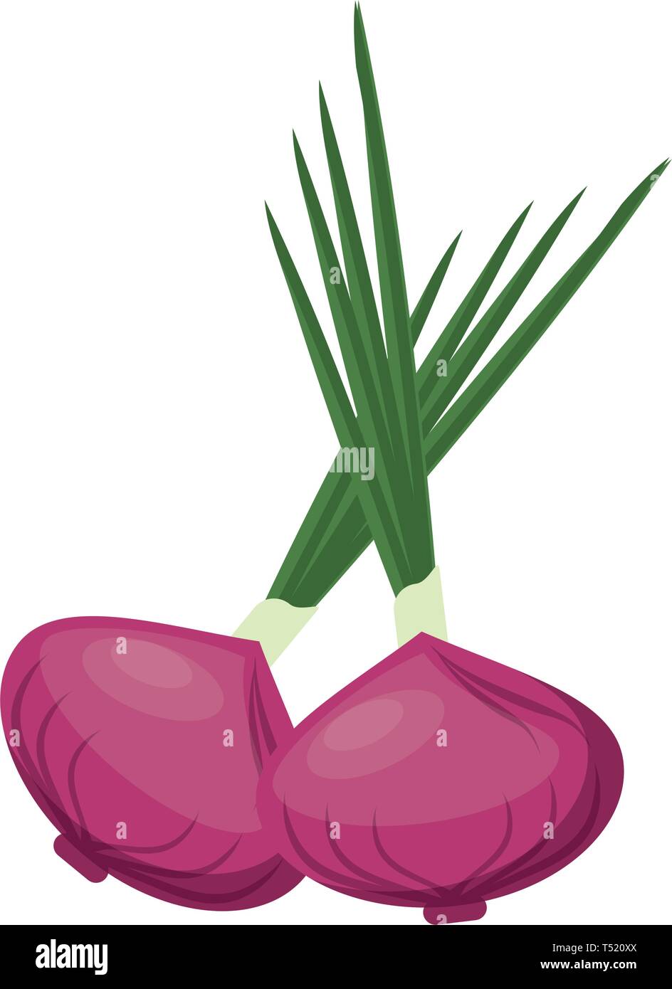 Fresh onions vegetables cartoon Stock Vector Image & Art - Alamy