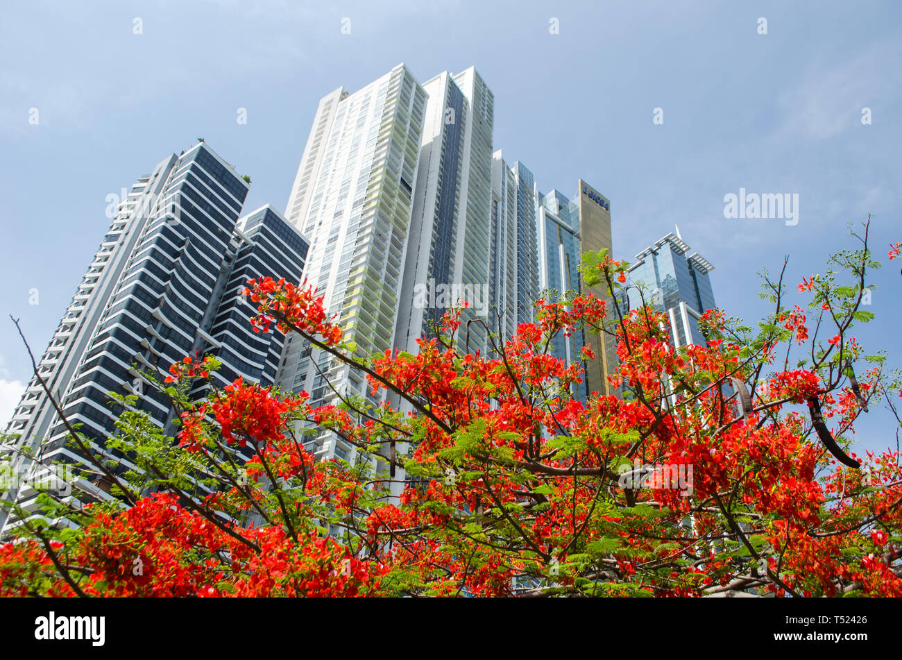Panama city skycrappers hi-res stock photography and images - Alamy