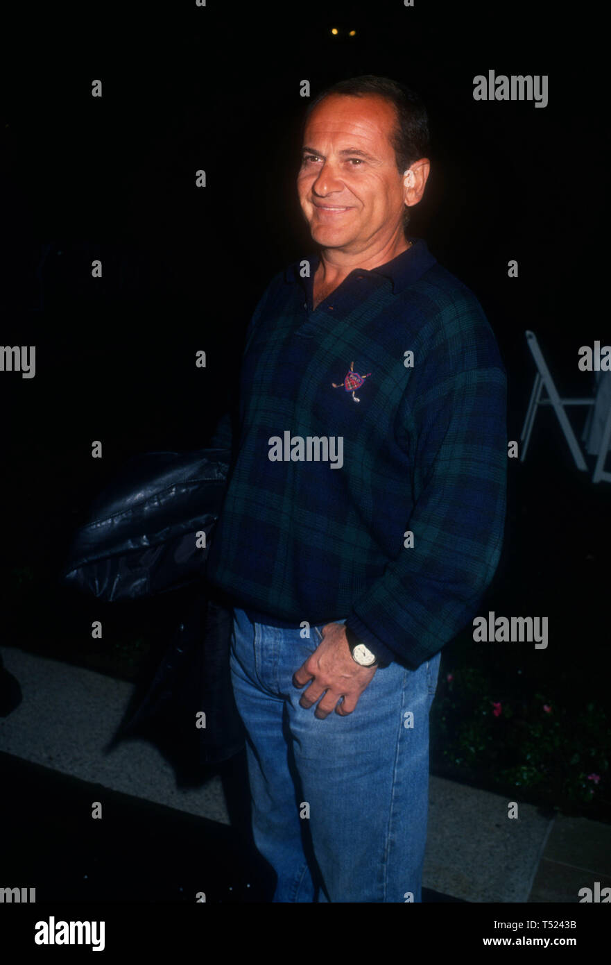 Hollywood, California, USA 28th March 1994 Actor Joe Pesci attends ...