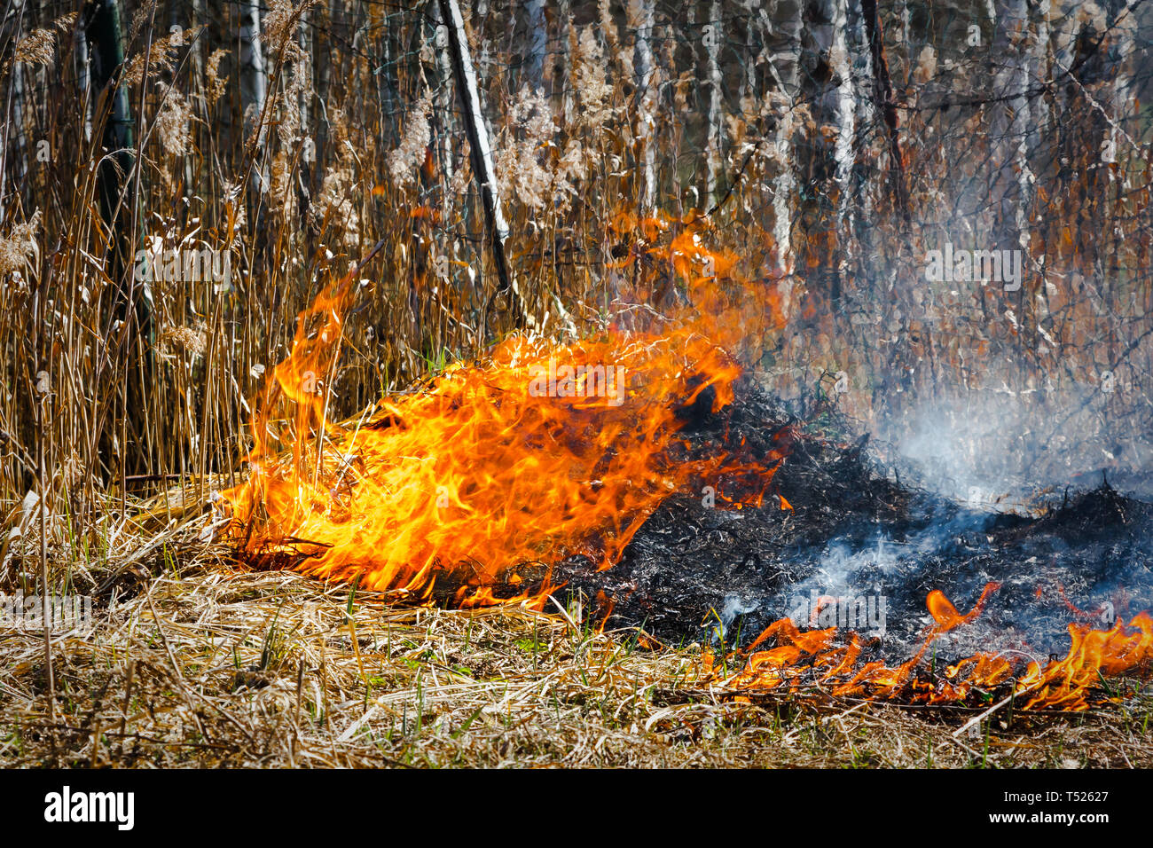Burning grass field in the spring, Firefighters work. Nature in danger ...