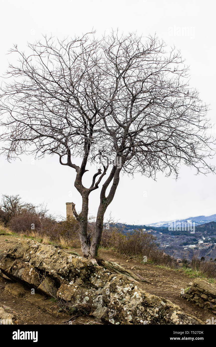 Turtle lake tbilisi hi-res stock photography and images - Alamy