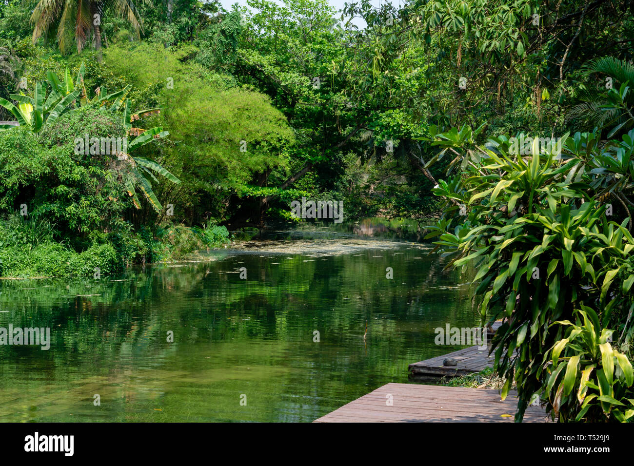 Beautiful river in Thailand, near the Namtok Chet Sao Noi Park ...