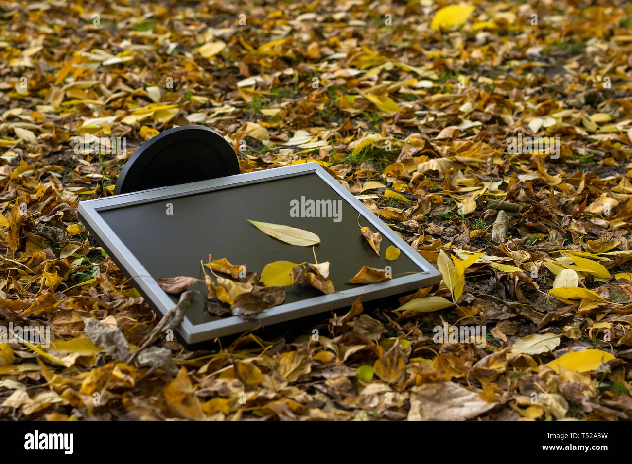 Monitor from the computer is lies on the autumn yellow foliage in the ...