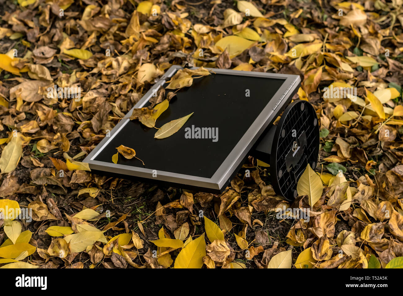 Monitor from the computer is lies on the autumn yellow foliage in the ...