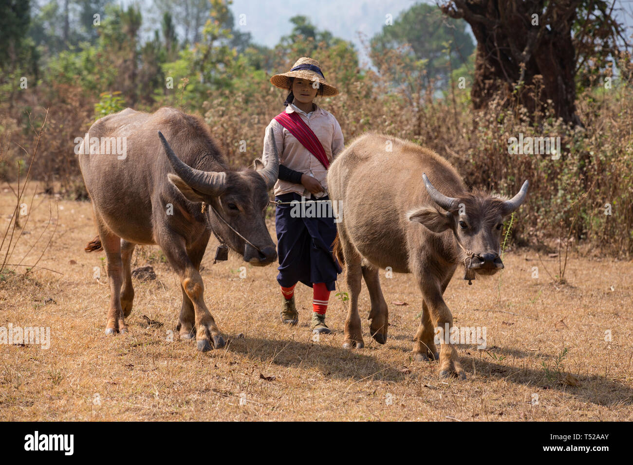 Myanmar shan state girl hi-res stock photography and images - Alamy