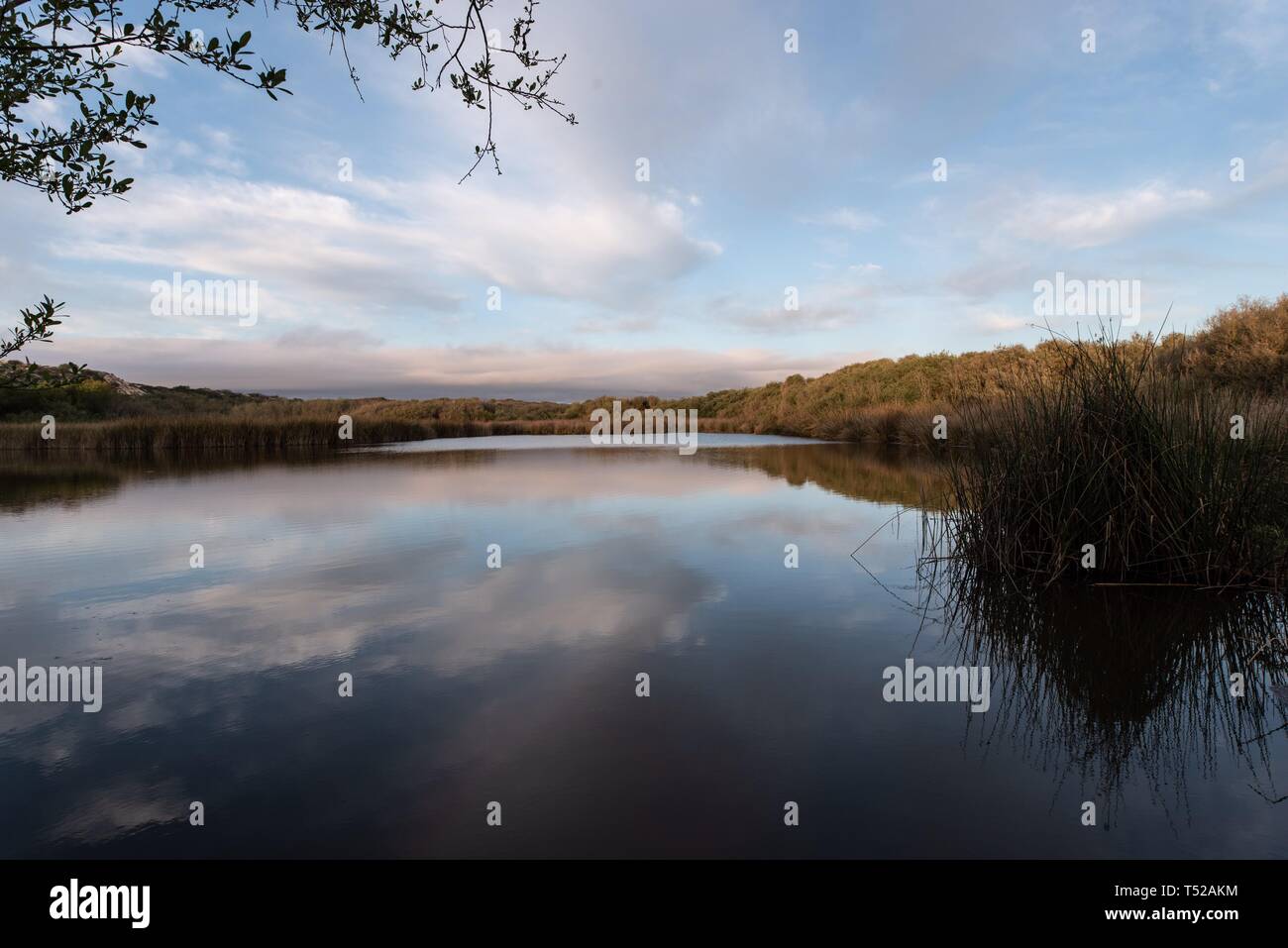 Oso flaco state park hi-res stock photography and images - Alamy