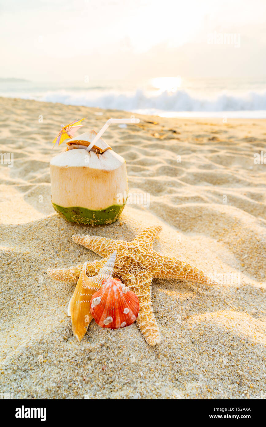 Coconut, seashell and Starfish at the tropical beach Stock Photo - Alamy