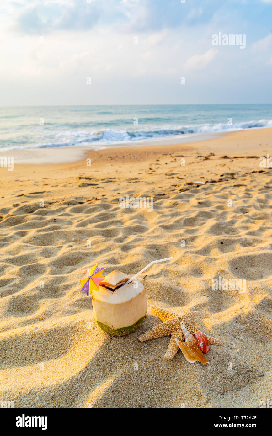 Coconut, seashell and Starfish at the tropical beach Stock Photo - Alamy