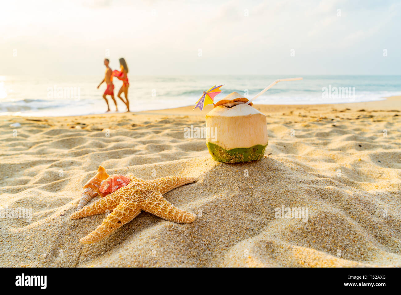 Coconut, seashell and Starfish at the tropical beach Stock Photo - Alamy