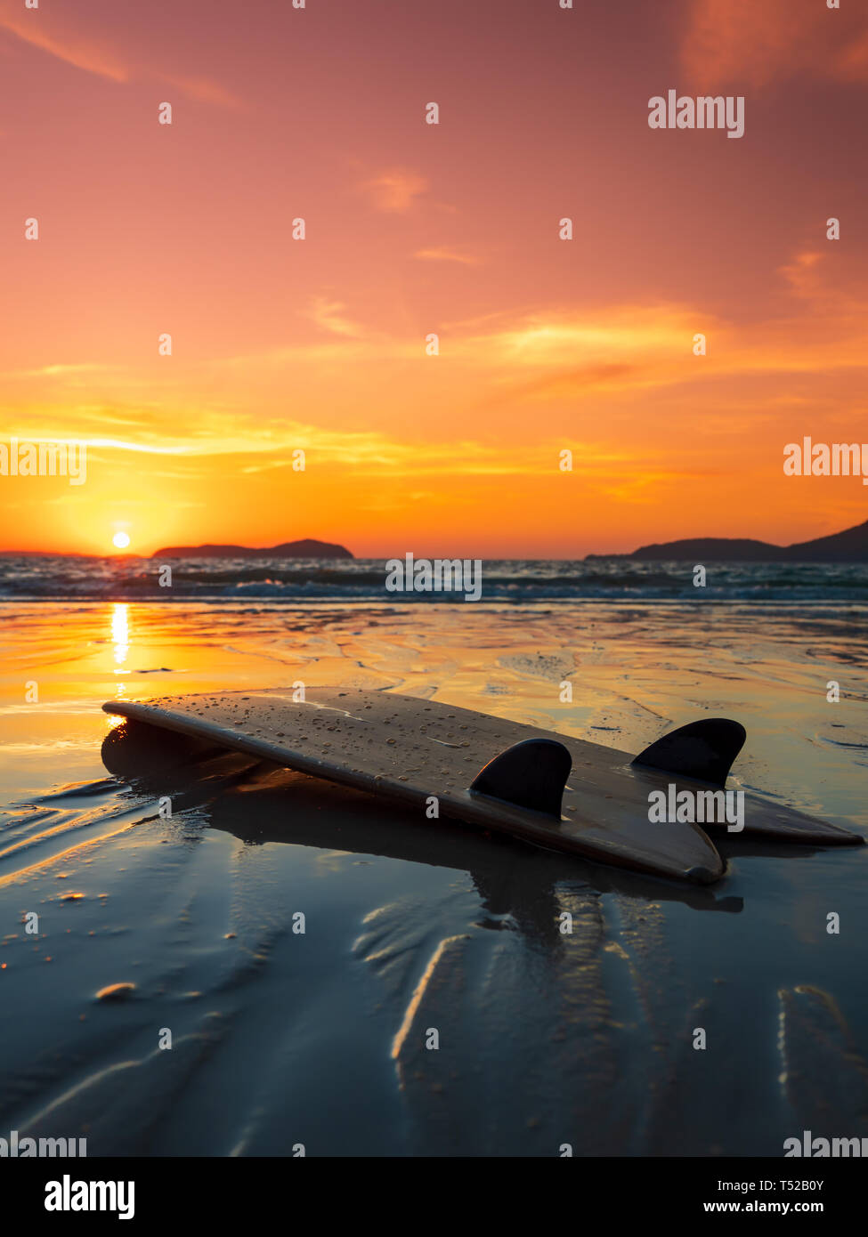surfboard on the beach in sea shore at sunset time with beautiful light ...