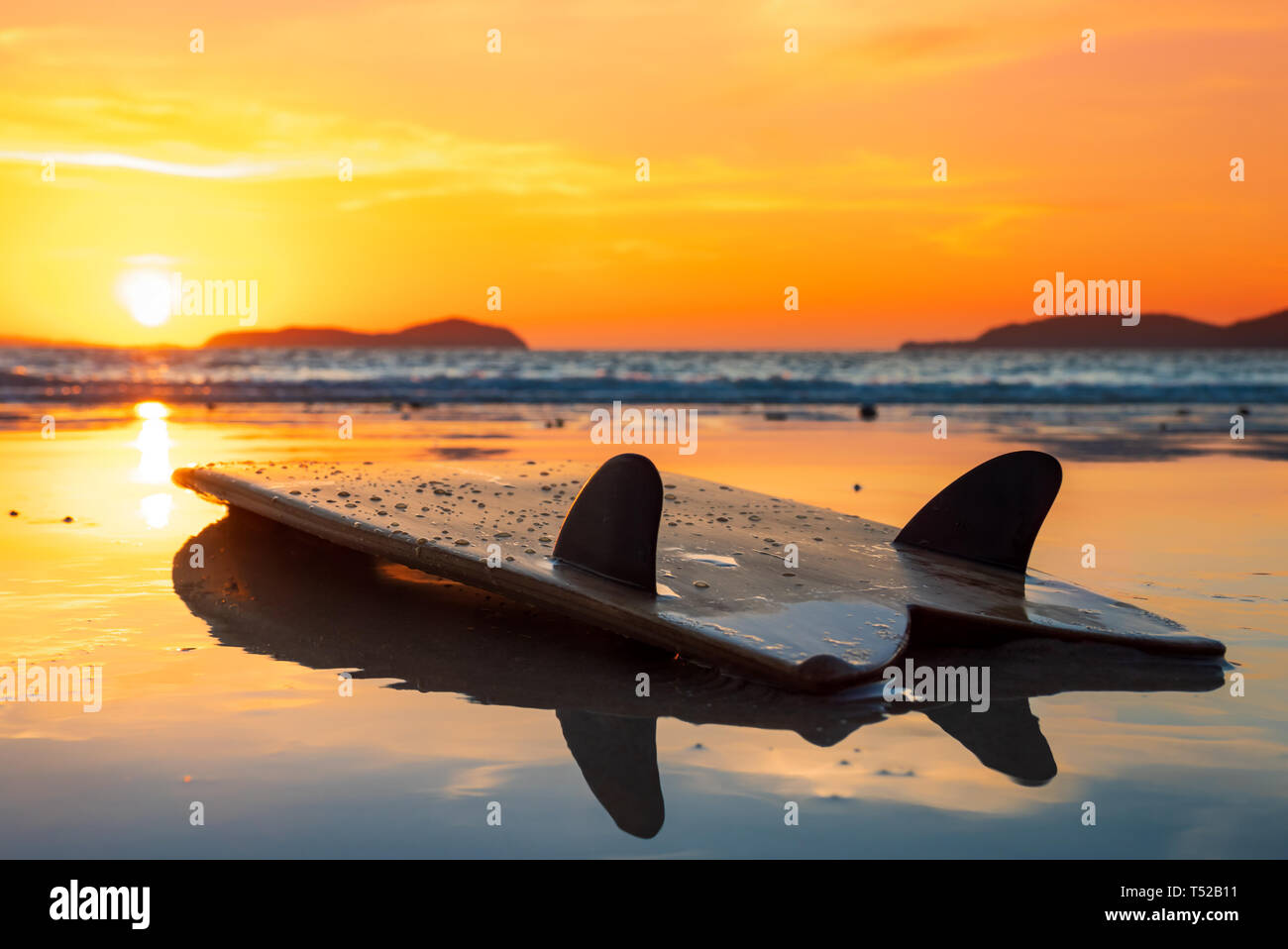 surfboard on the beach in sea shore at sunset time with beautiful light ...