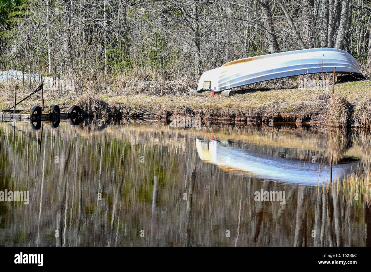 Tree trees bridge mirroring hi-res stock photography and images - Alamy
