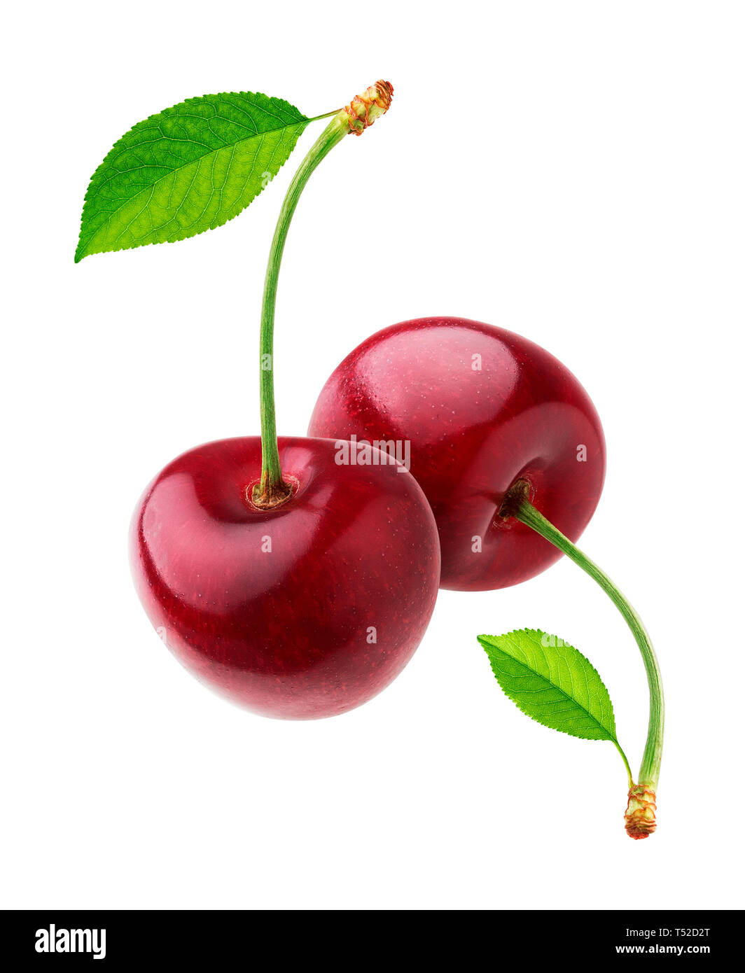 Cherry isolated on white background with clipping path Stock Photo - Alamy