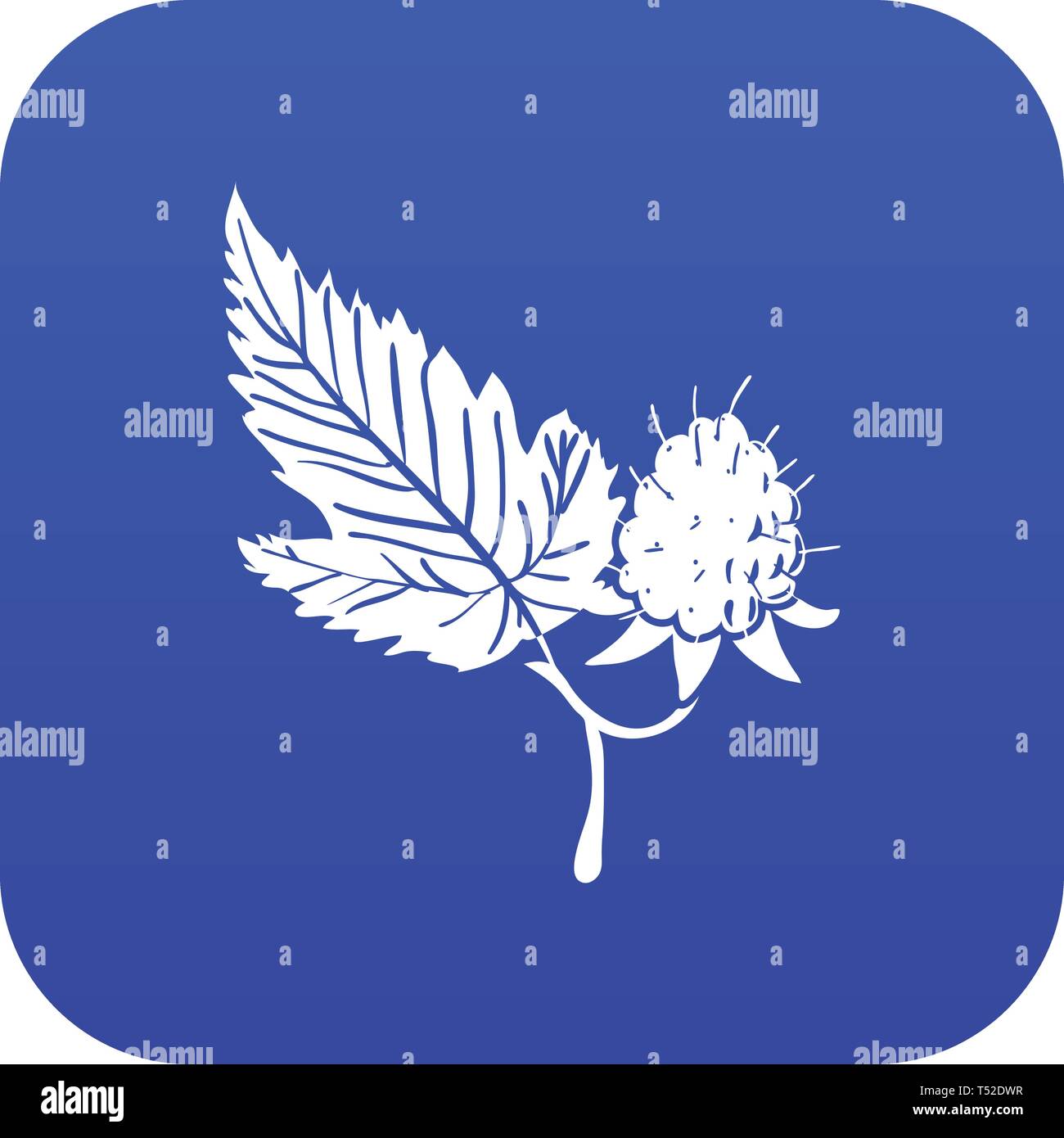 Raspberry icon blue vector Stock Vector Image & Art - Alamy