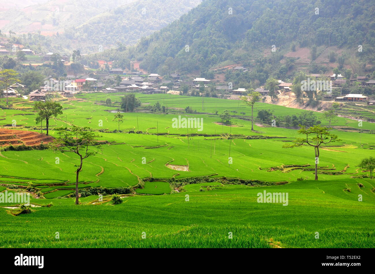 Village rice terraces hi-res stock photography and images - Alamy