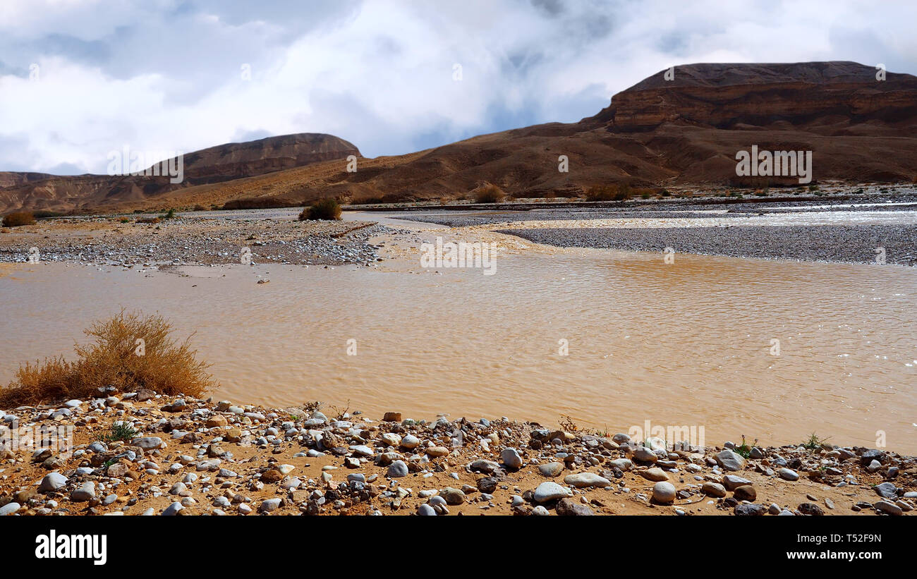 Dirty water flows in the Negev desert after rain Stock Photo - Alamy