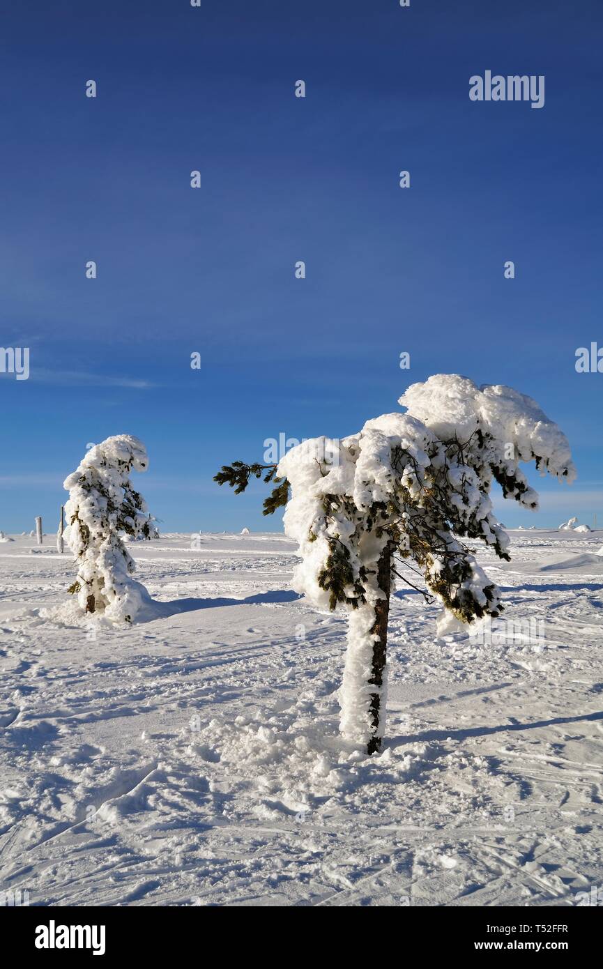 Swedish mountain hi-res stock photography and images - Alamy