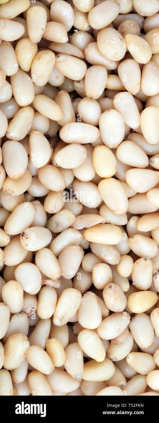 many cedar nut at day Stock Photo - Alamy