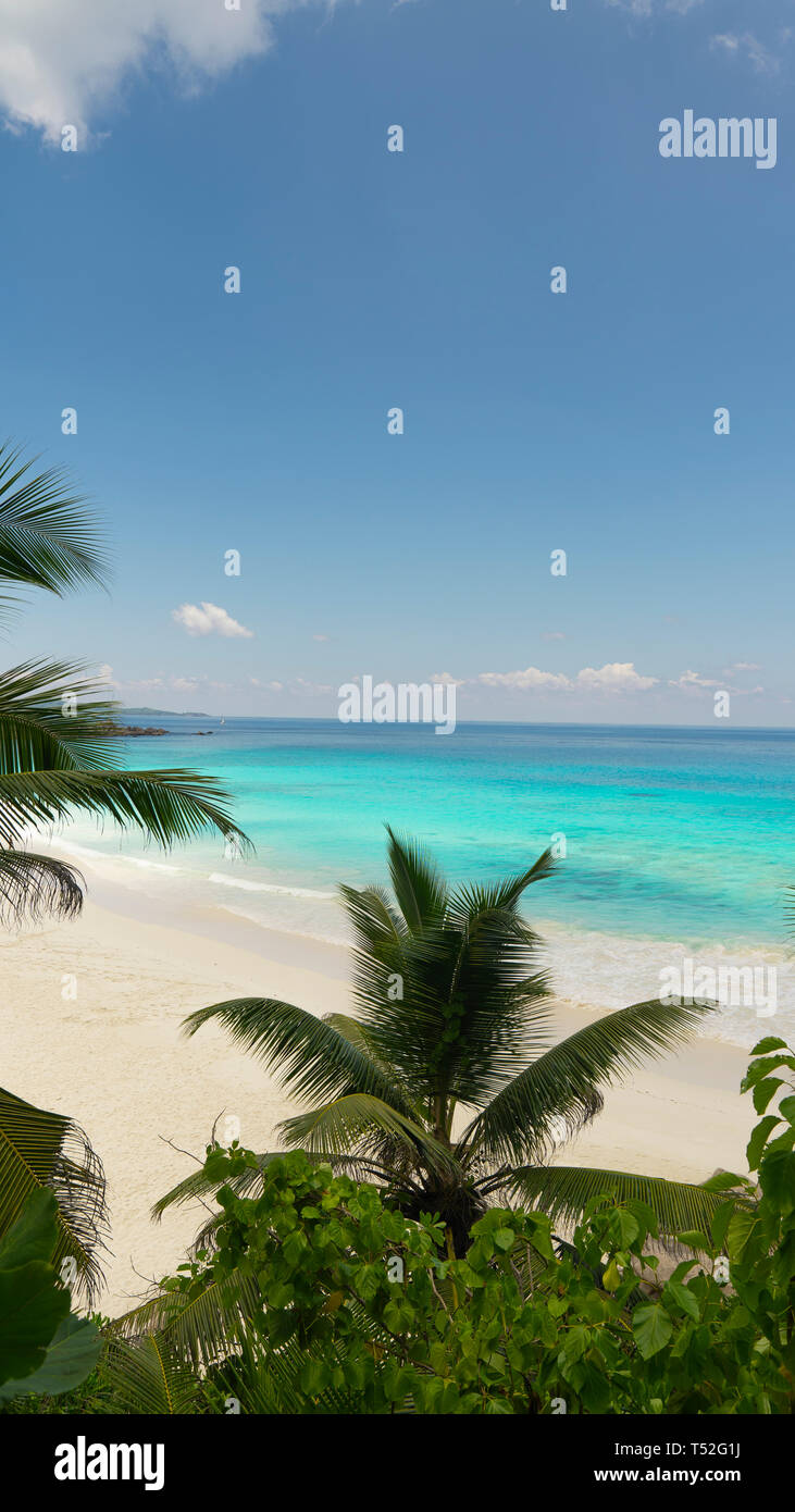 beautiful clean beach in seychelles Stock Photo - Alamy