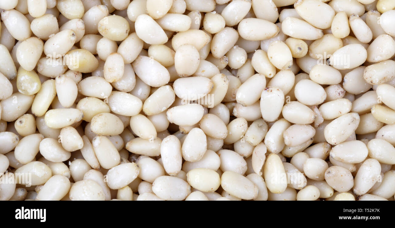 many cedar nut at day Stock Photo - Alamy