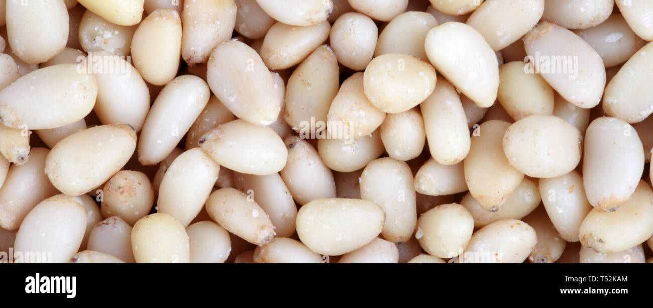 many cedar nut at day Stock Photo - Alamy