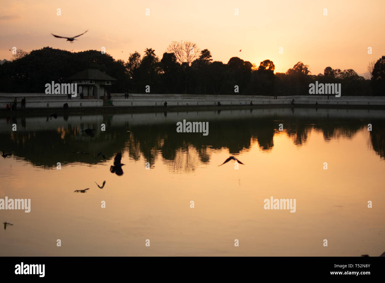 Siddha pokhari bhaktapur hi-res stock photography and images - Alamy